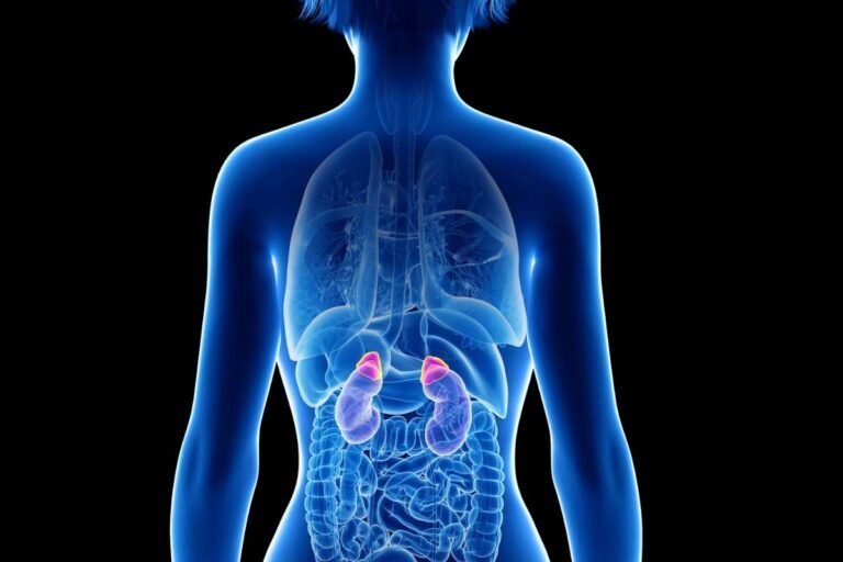 Demystifying DEXA Body Scans: Your Complete Guide | Healthcare 360 Magazine