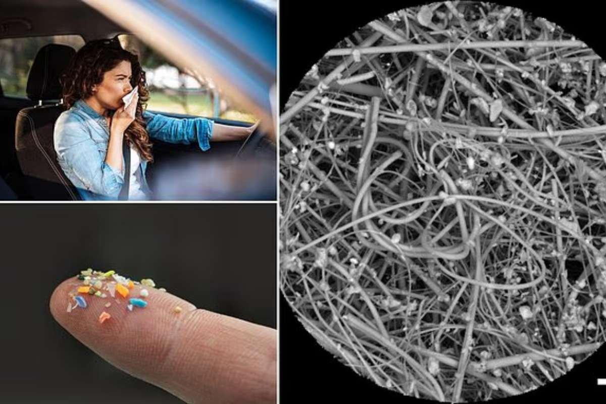 Breathing Plastic: Scientists Alarm Microplastics Lurking Air ...