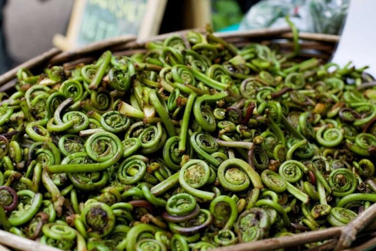 Why do these 11 Most Expensive Vegetables Cost so Much? The Story ...