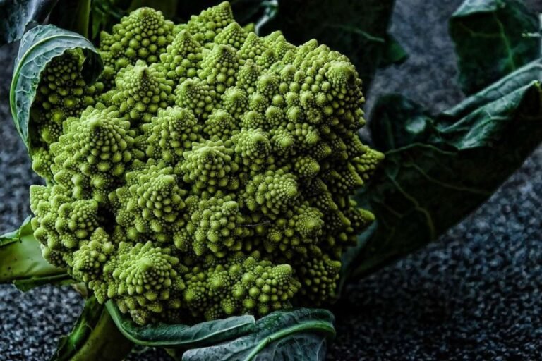 Why do these 11 Most Expensive Vegetables Cost so Much? The Story ...