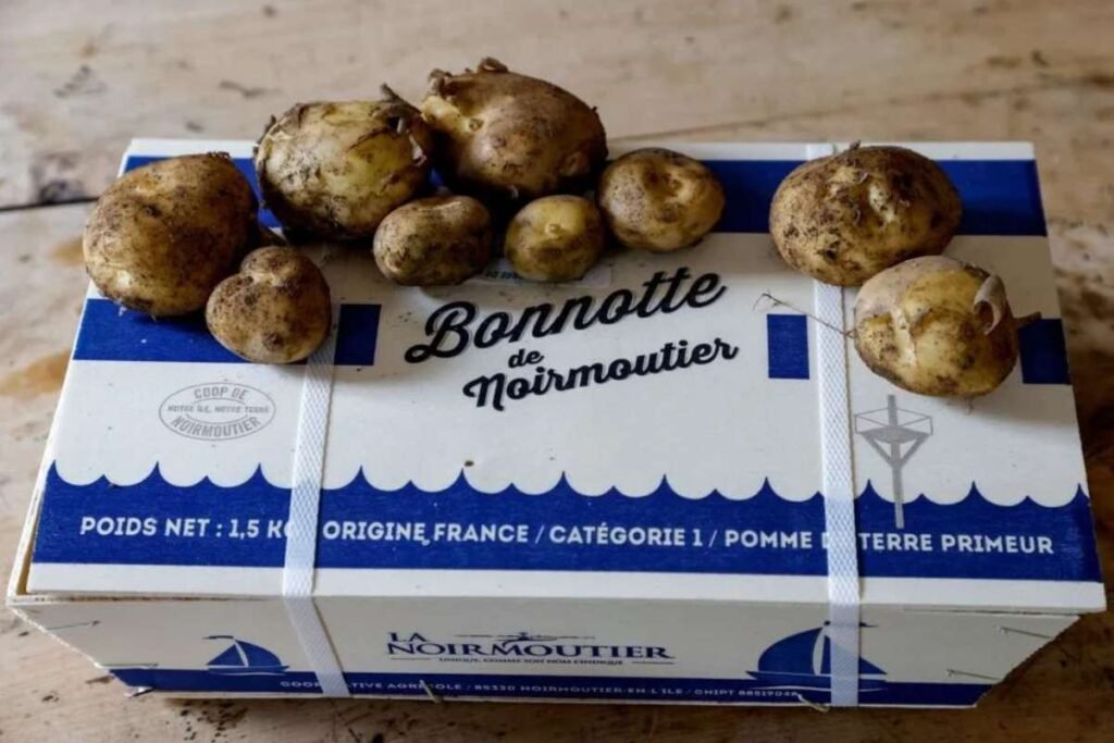 Why do these 11 Most Expensive Vegetables Cost so Much? The Story ...